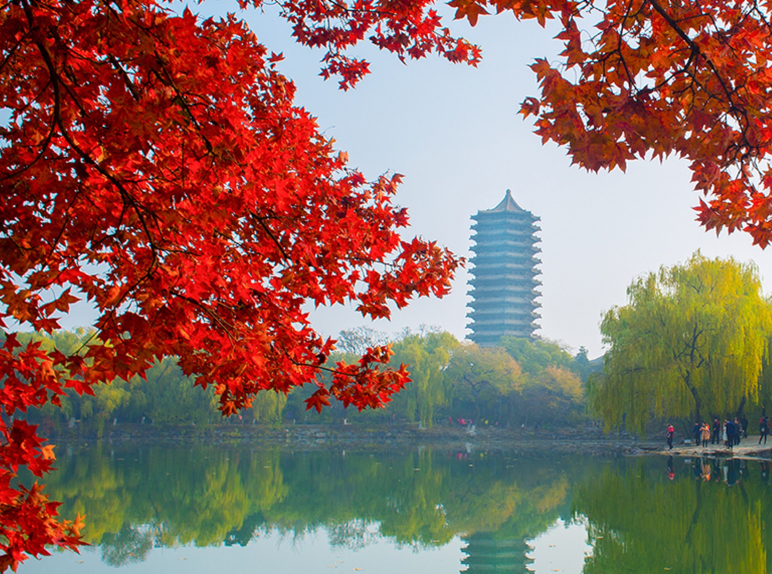 The Knowledge Computing Lab 知识计算实验室